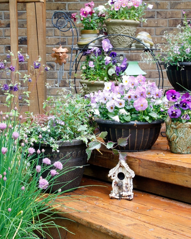 Fun Gardening Projects | Create your own colourful container - St ...