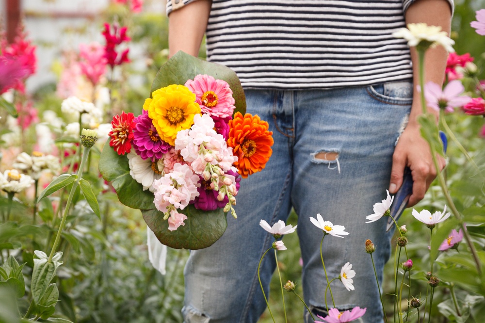Grow your own flower bouquets - St Peters Garden Centre
