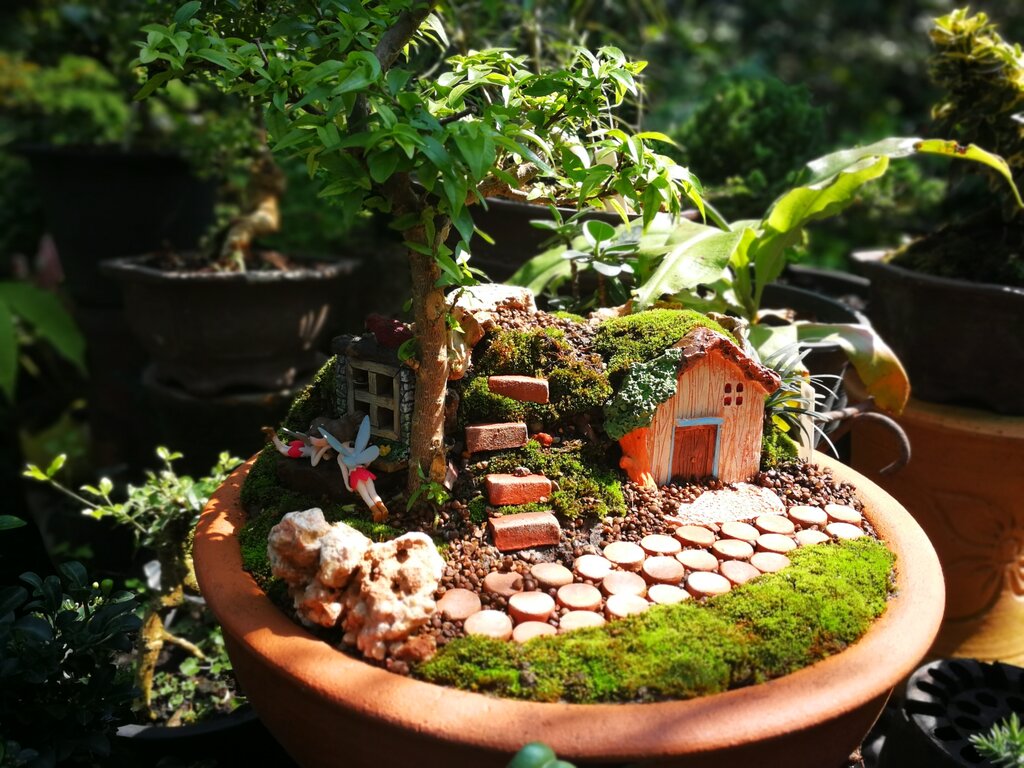 How to Create Your Own Mini Garden | St Peters Garden Centre