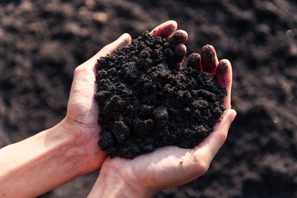 Tips for healthy soil - St Peters Garden Centre