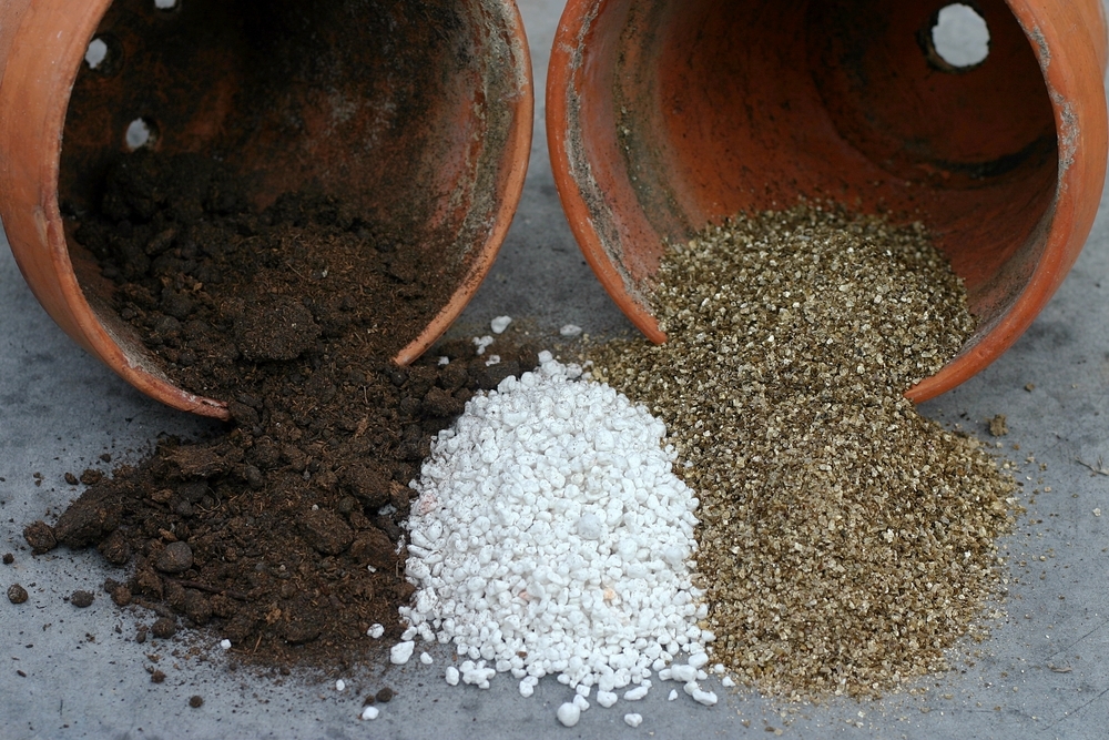 Vermiculite or perlite: which to choose? - St Peters Garden Centre