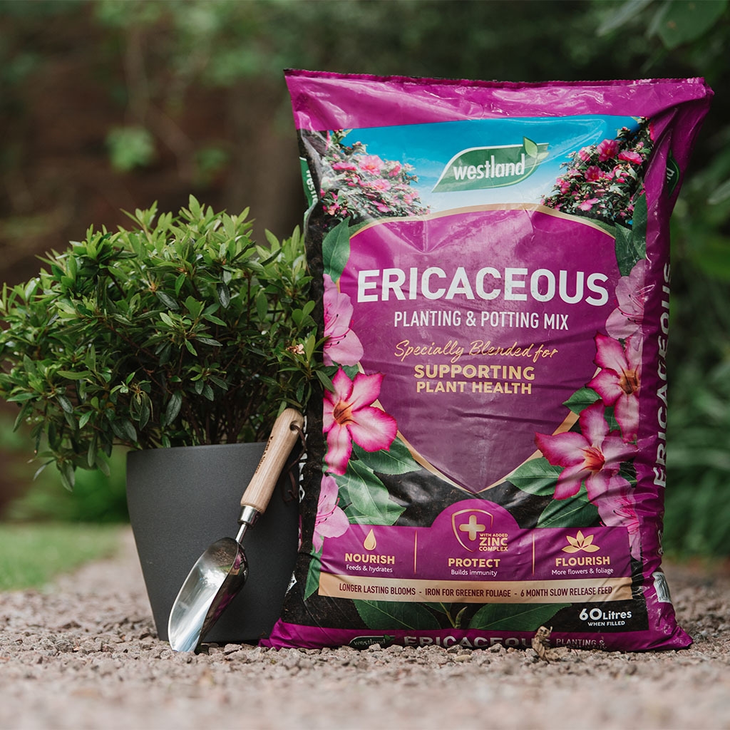 Ericaceous Planting & Potting Mix 60L - St Peters Garden Centre