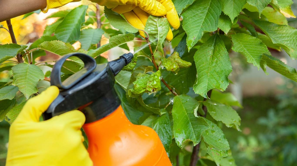 Garden Pest Control & Animal Repellents - St Peters Garden Centre