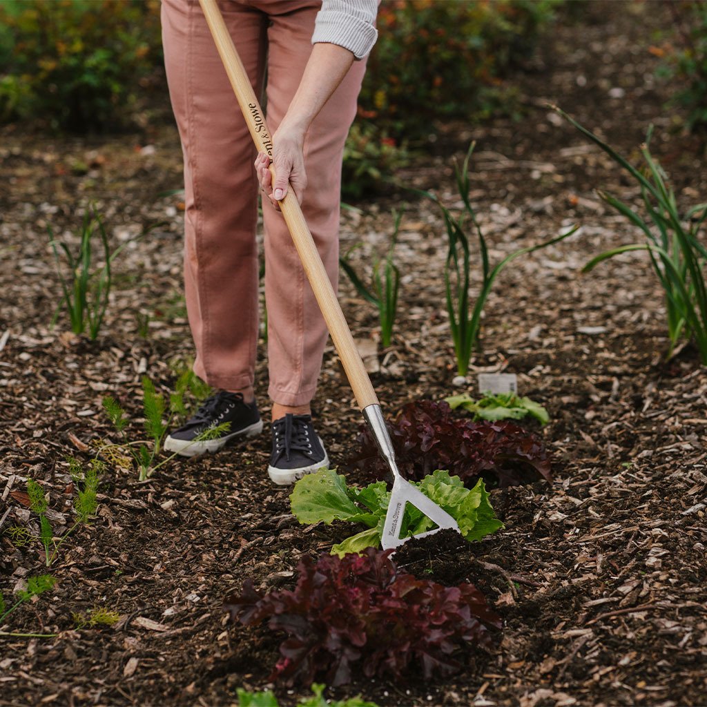 Garden Life Stainless Steel Dutch Hoe - St Peters Garden Centre