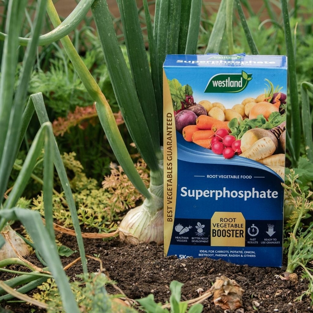 Superphosphate 1.5kg - St Peters Garden Centre