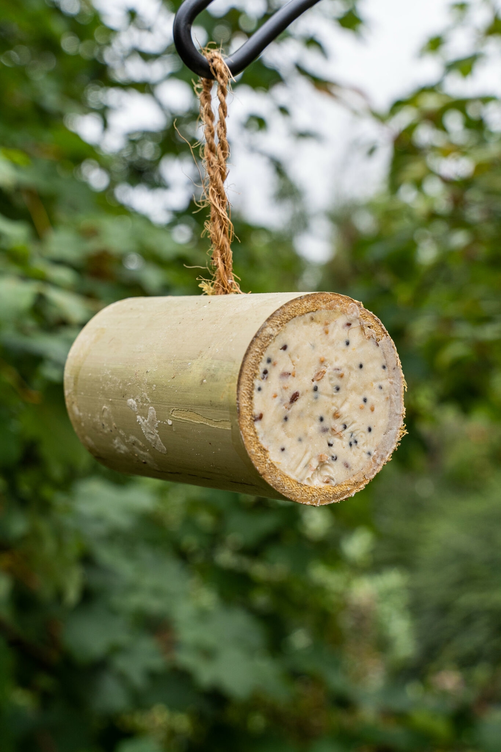 Gardman Suet Filled Bamboo - St Peters Garden Centre