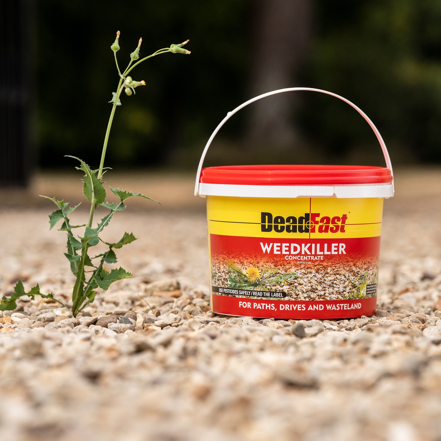 Deadfast Weedkiller Concentrate Tub 12 X 100ml - St Peters Garden Centre