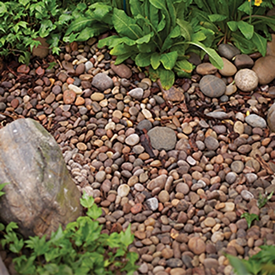 Scottish Pebbles Bulk Bag 20-30mm - St Peters Garden Centre