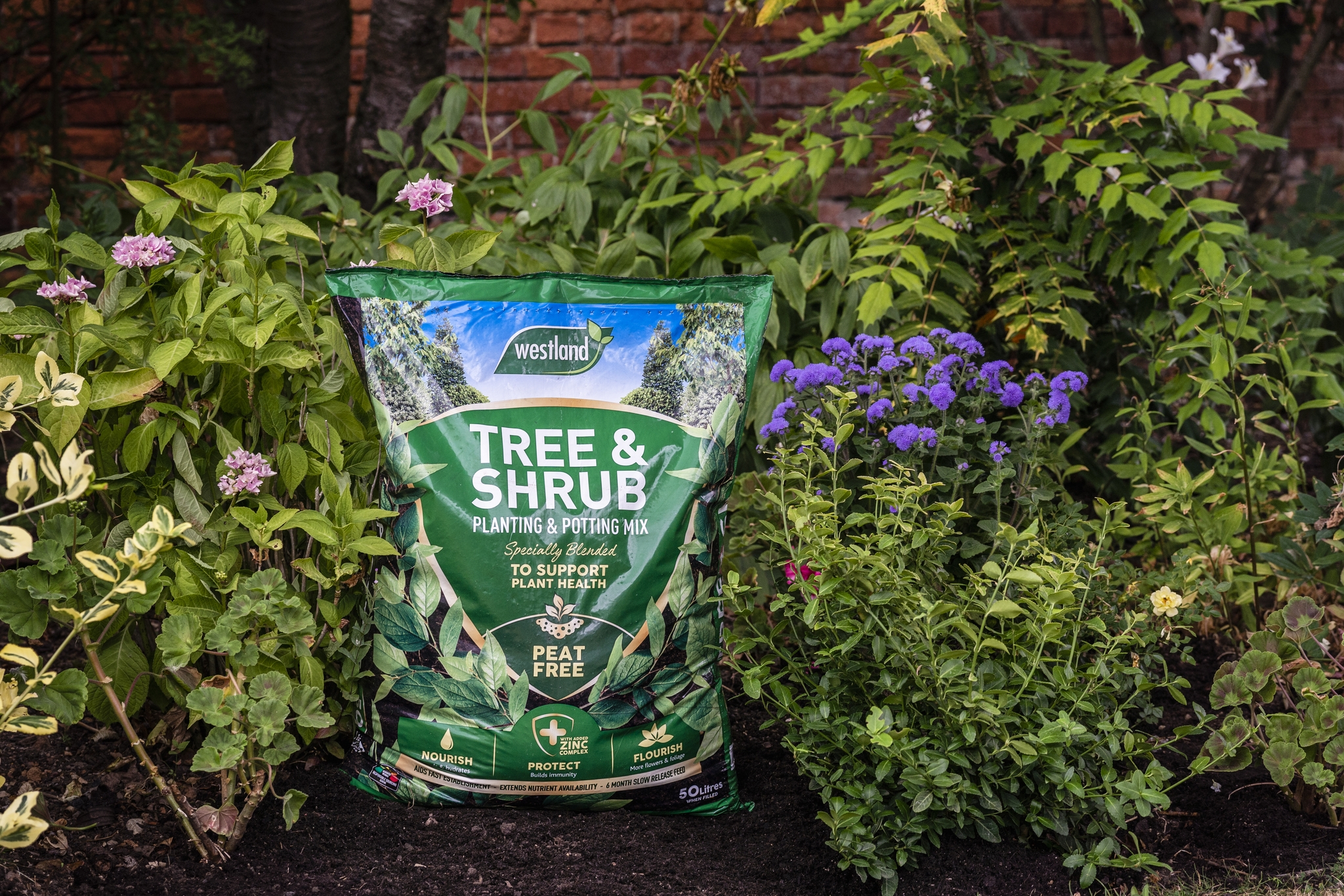 Tree & Shrub Planting Peat Free Mix 50L - St Peters Garden Centre