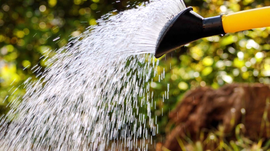 Garden Hose Pipes & Watering Cans - St Peters Garden Centre